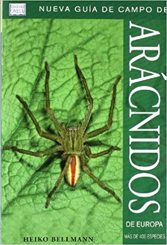 Los 5 mejores libros sobre arañas - 5libros