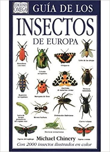 Los 5 mejores libros sobre insectos - 5libros