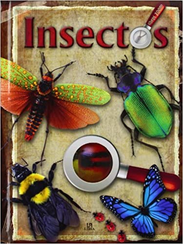 Los 5 mejores libros sobre insectos - 5libros