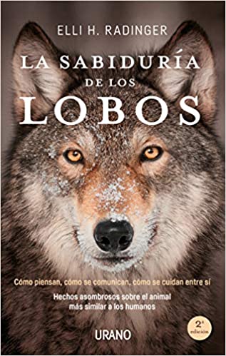 Los 5 mejores libros sobre lobos - 5libros
