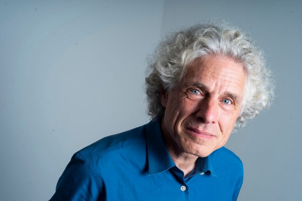 Los 7 mejores libros de Steven Pinker - 5libros